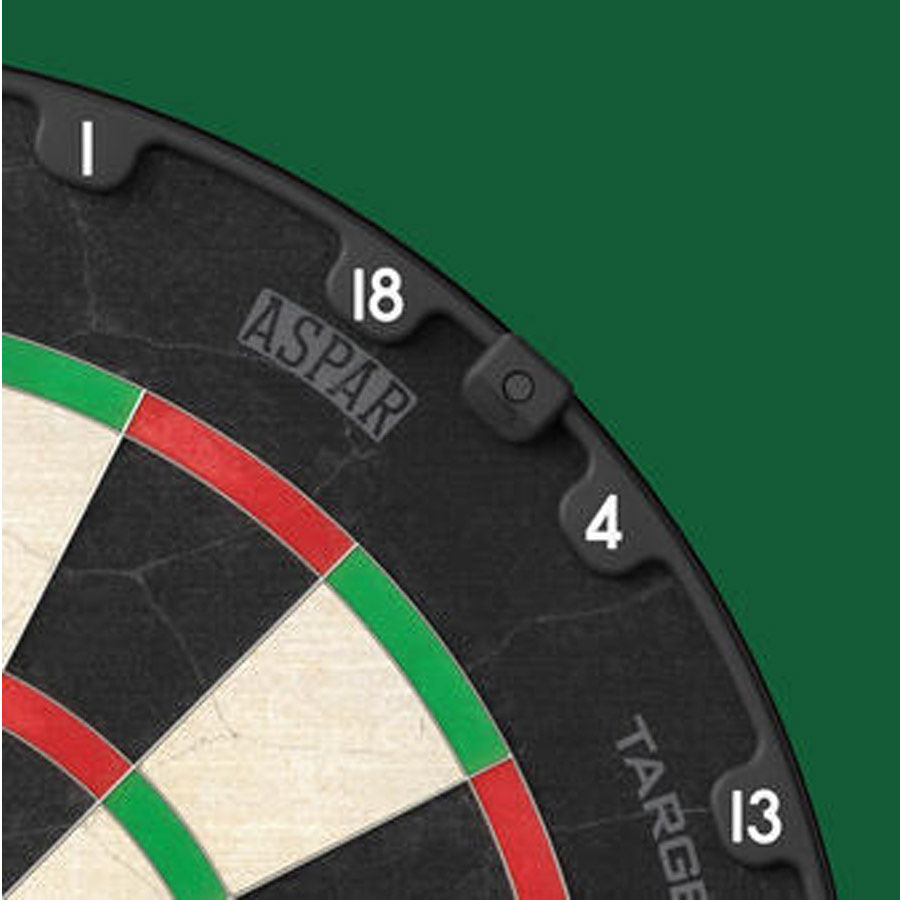 Tarcza dart sizalowa Target Aspar | Sklep HATTRICK